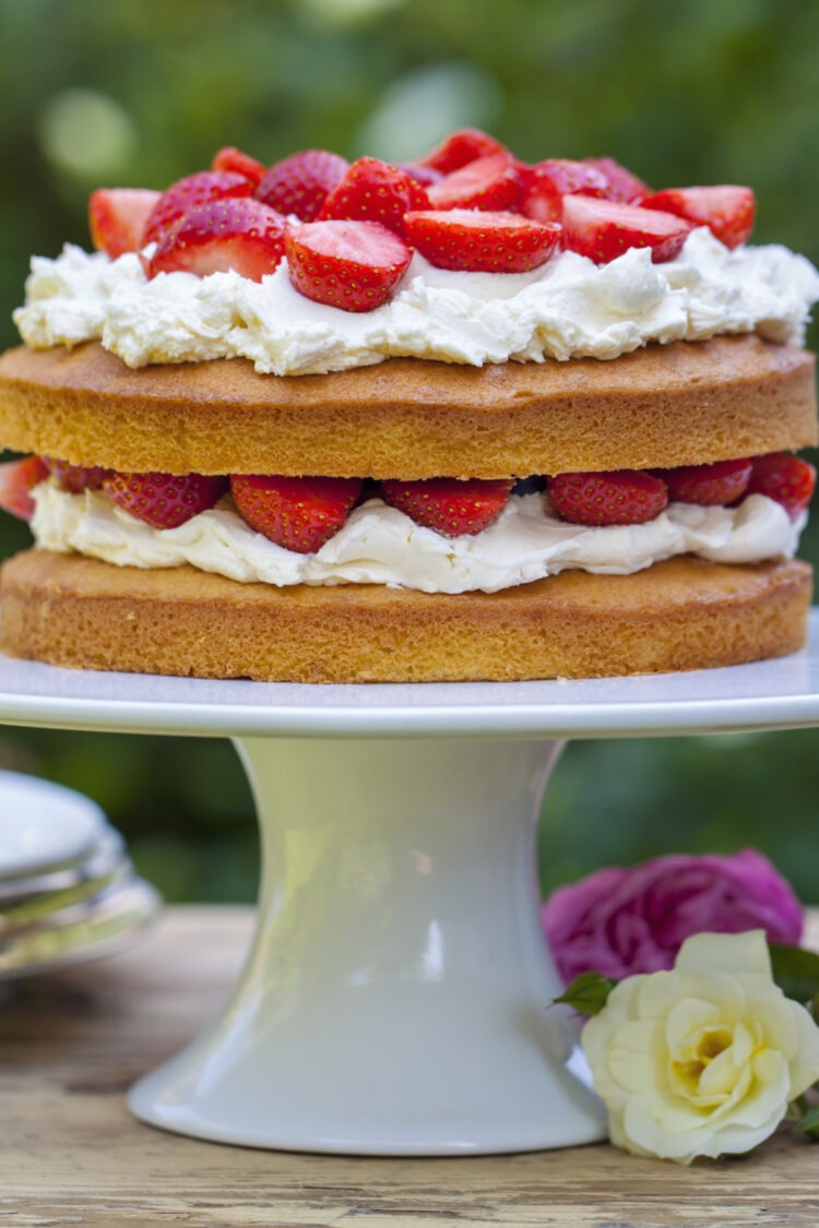 21 Italian Recipes That Bring the Taste of Italy to Your Kitchen ...
